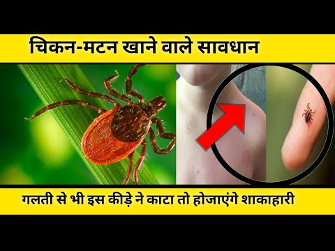 Top10 : Tick Bite can make you vegetarian 🤔😳| Amazing Facts in Hindi language..