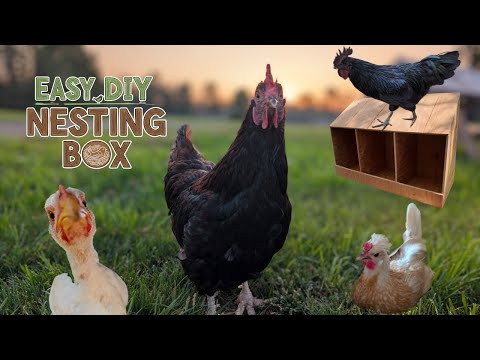 Easy DIY Nesting Boxes #homestead #diy #chicken