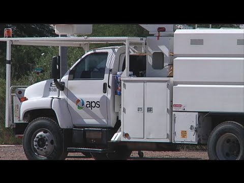 2 agencies investigating APS