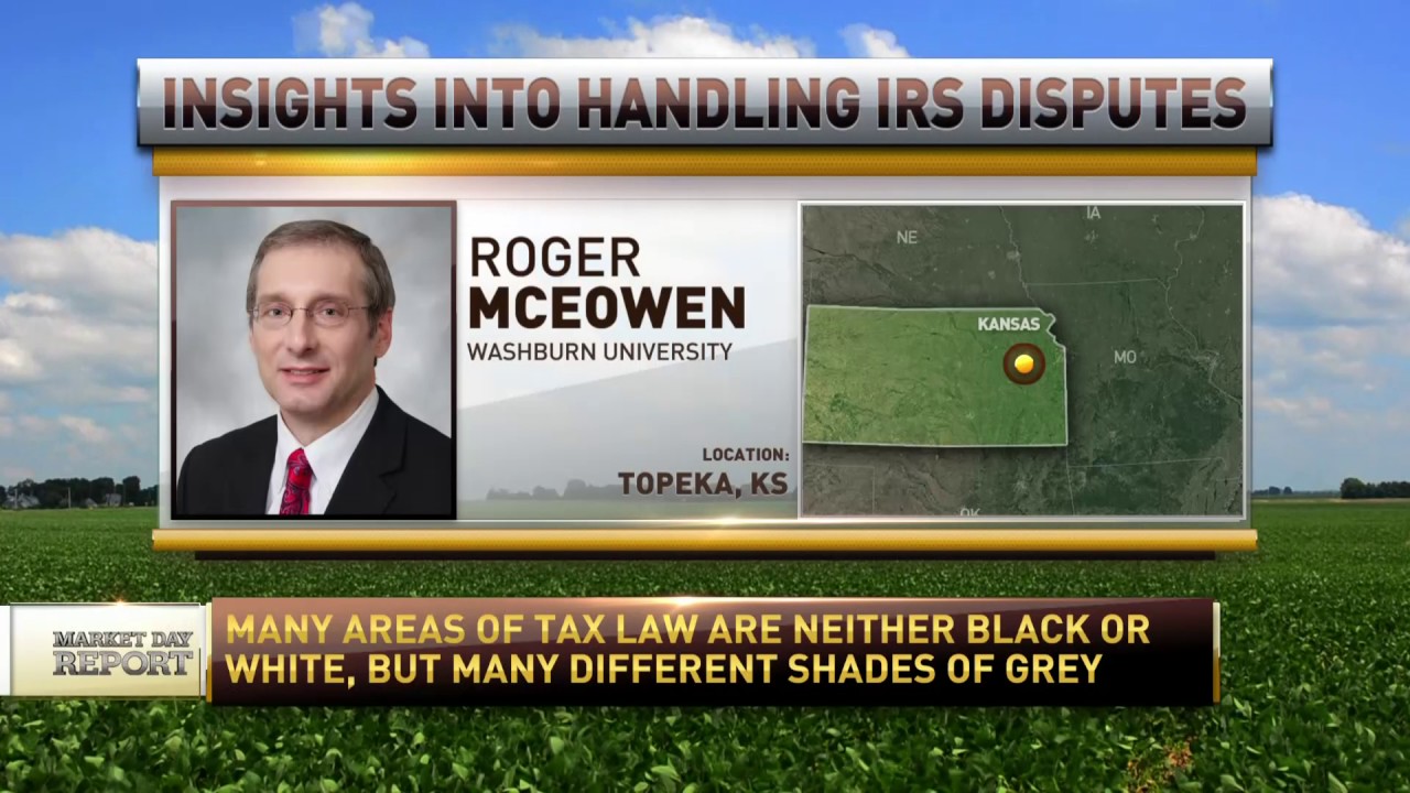 Insights into Handling IRS Disputes