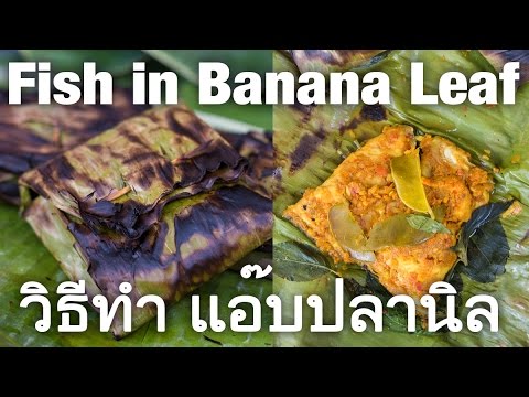 Thai Fish Grilled in a Banana Leaf (วิธีทำ แอ๊บปลานิล) – Healthy Living ...