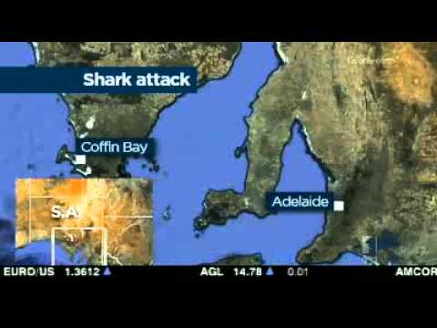 Shark attack prompts safety rethink