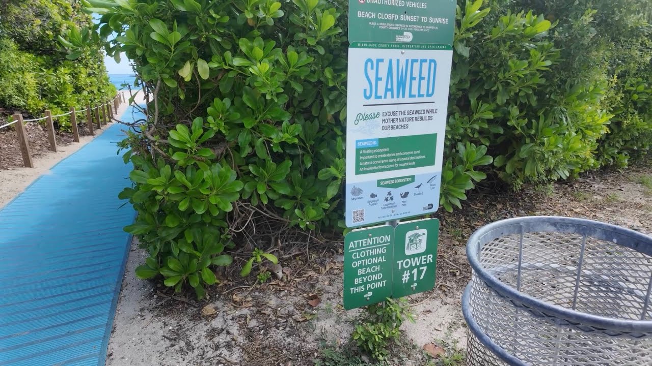 Haulover clothing optional beach vlog
