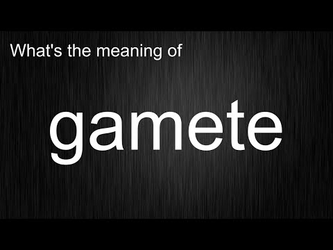 What's the meaning of "gamete", How to pronounce gamete?