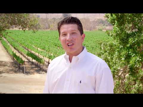 Discover California Wines: Sonoma
