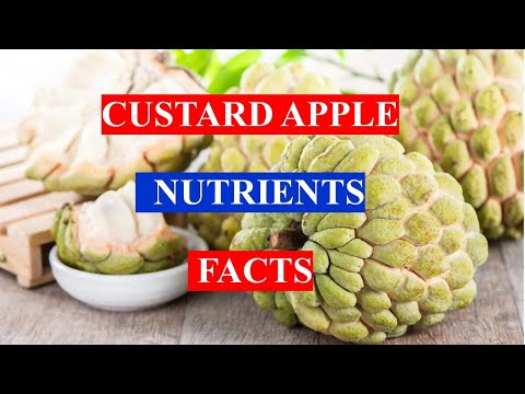 CUSTARD APPLE - Fruit - HEALTH BENEFITS AND NUTRIENTS FACTS