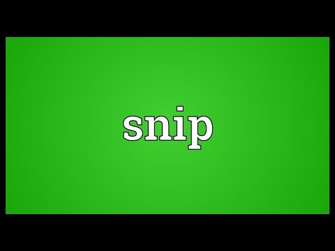 Snip Meaning