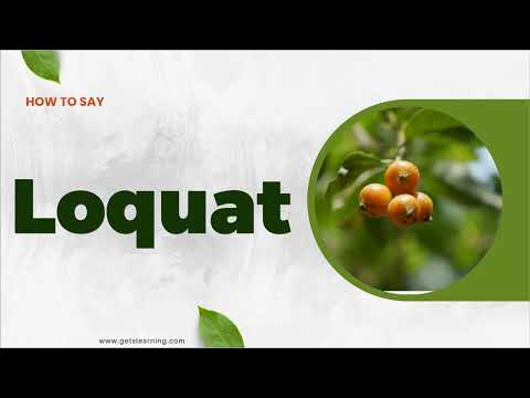 How to Say Loquat in American English