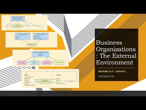 Business Organizations: The External Environment