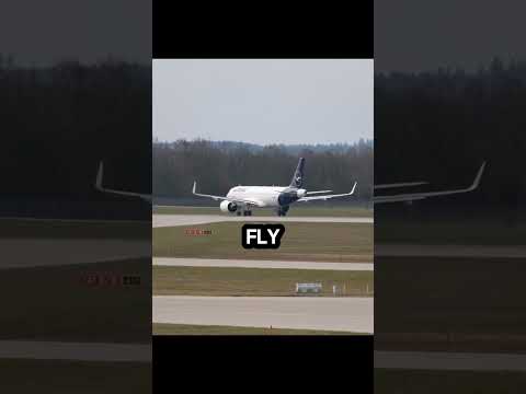Airbus A320: The Short Haul Legend #aviation #airliner #airbus #a320 #airplane #modern #popular
