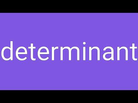 Determinant Definition & Meaning