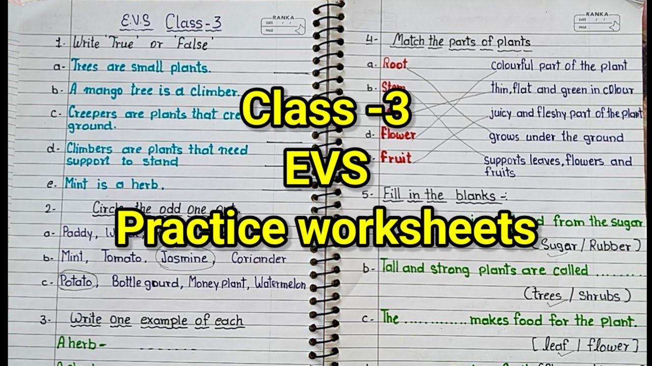EVS Class 3 Practice Worksheet || EVS practice worksheet for class 3rd