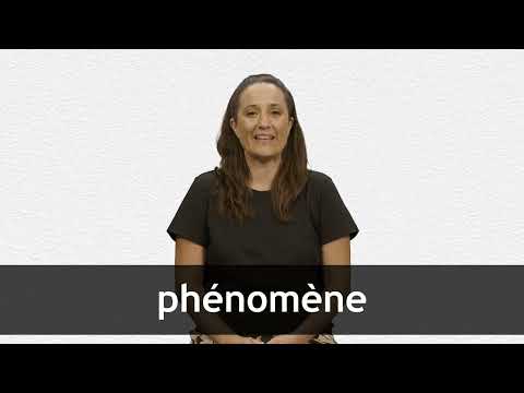 English Translation of “PHÉNOMÈNE” | Collins French-English Dictionary