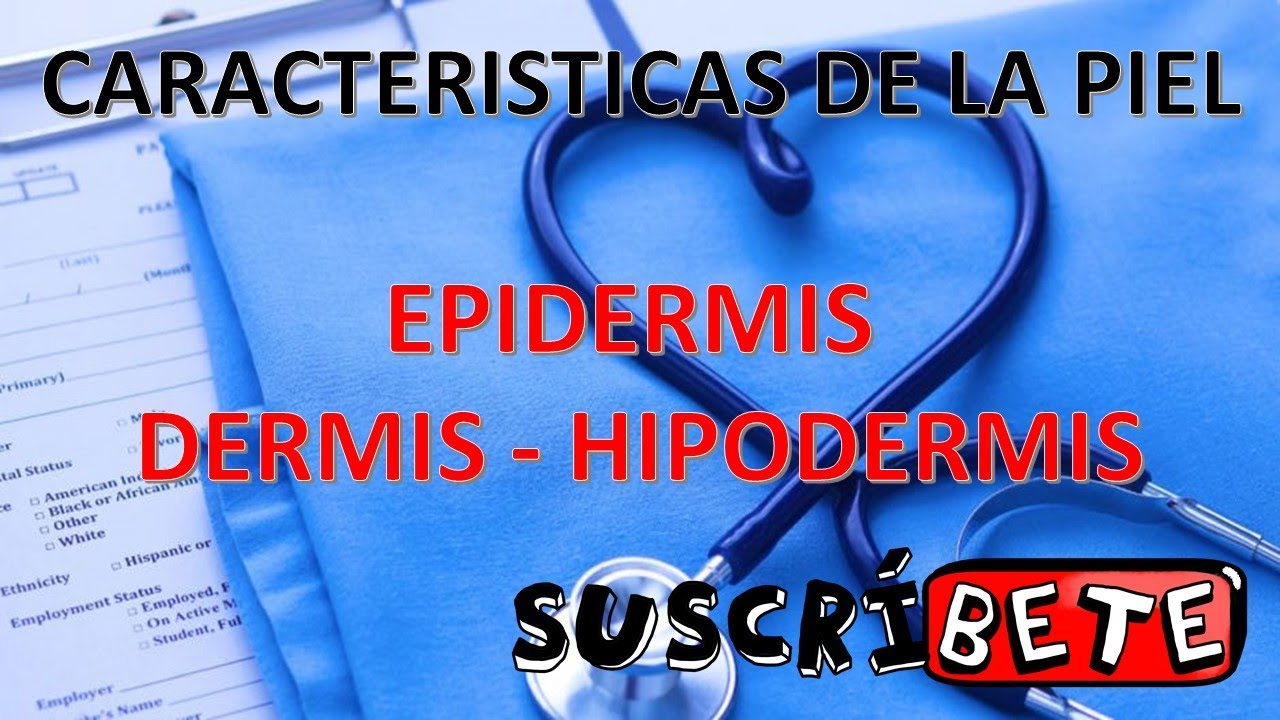 CUALES SON LAS CARACTERÍSTICAS DE LA PIEL ❓CAPAS DE LA PIEL/SENSIBILIDAD- TERMINOLOGÍA