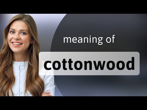 Cottonwood | COTTONWOOD definition