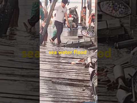 sea water flood # #flood #water #sea #rob #airpasanglaut #banjir rob