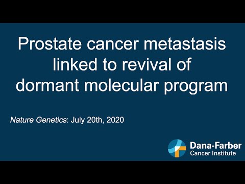 Prostate cancer research links spread of disease to epigenetics