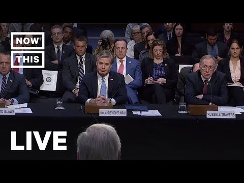 Domestic Terrorism Hearing With FBI and DHS | NowThis