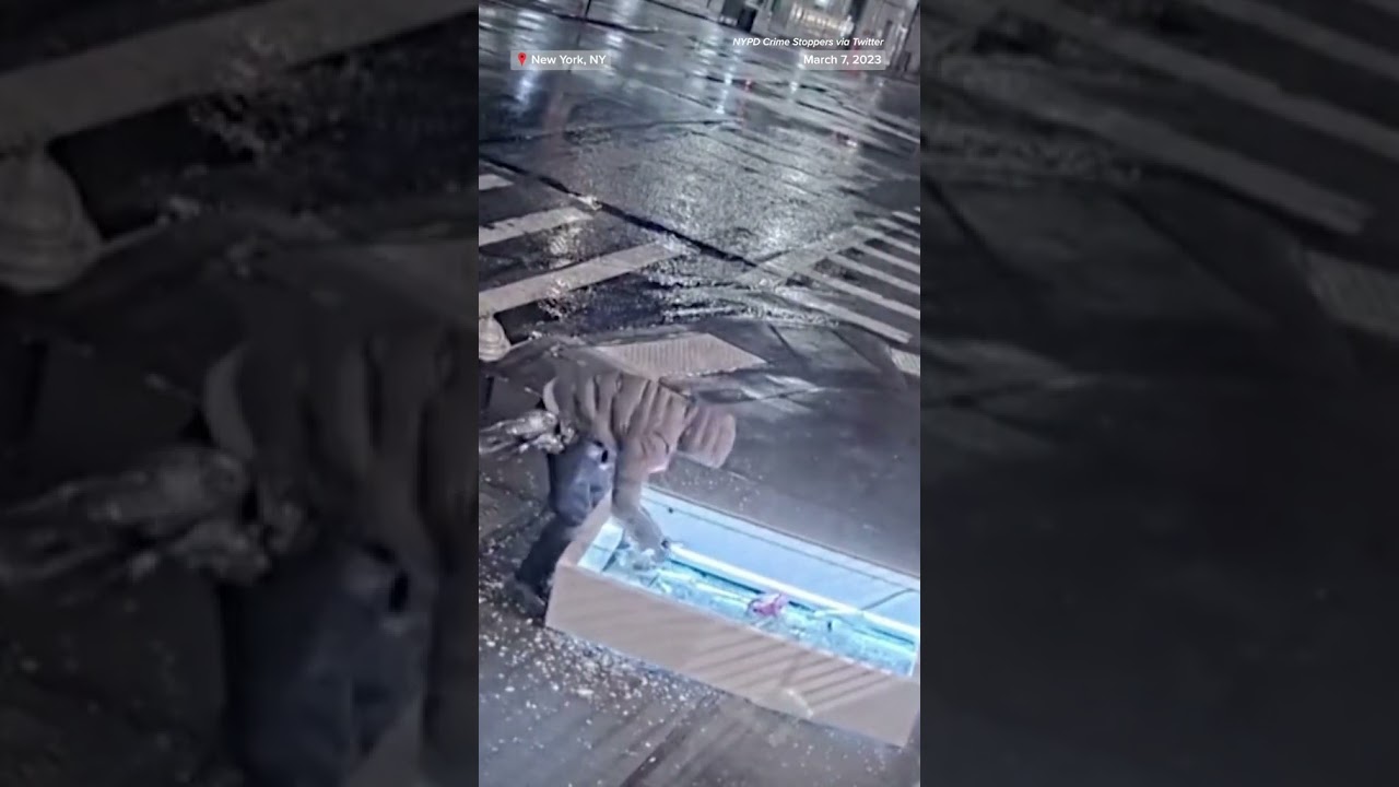 $242K in #Hermes bags stolen in smash-and-grab