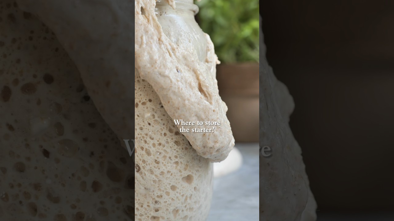 Where to store the starter? #sourdough #starter