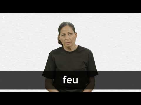English Translation of “FEU” | Collins French-English Dictionary