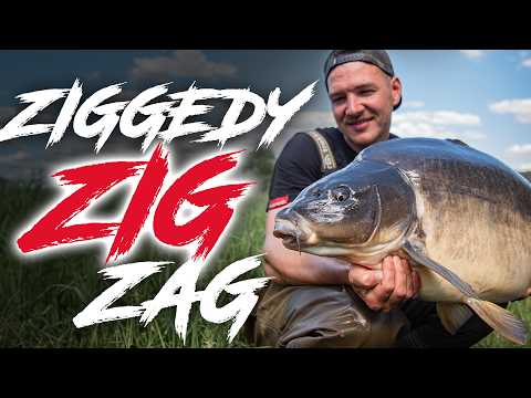 (Almost) no one uses this often-forbidden fishing technique! Mega catch success with Impact Zig F...