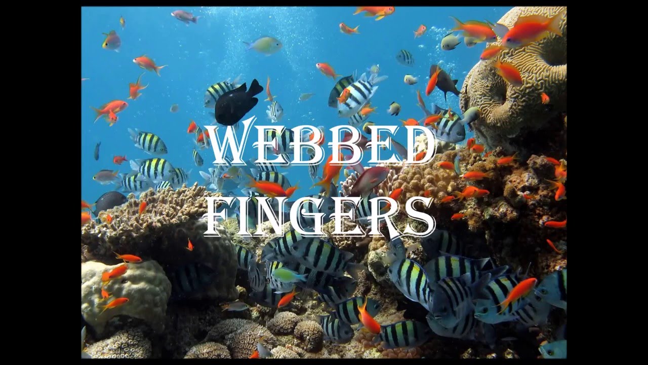Webbed fingers