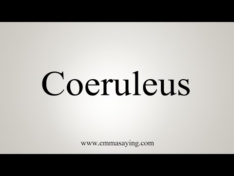 How To Say Coeruleus
