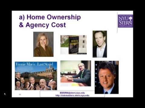 PRMIA Webinar -  Risk Management and the Financial Crisis by Hersh Shefrin of NYU