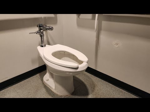 Three 2000s American Standard Madera toilets