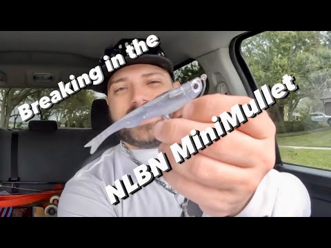 Breaking in the NLBN 4" Mini Mullet