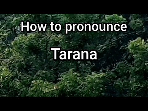 How to Pronounce Tarana