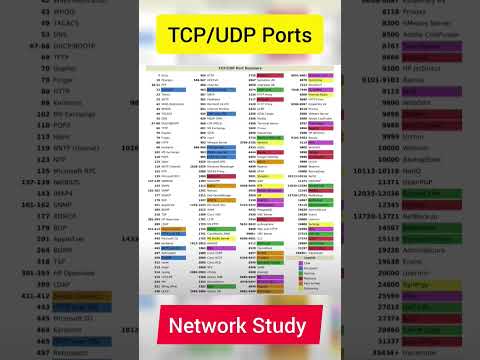 TCP/UDP Port Number