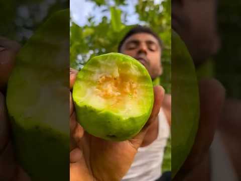 paka अमरूद ❤️#shorts #fruit #viral #mango #food #mangorecipe #fruitcutting