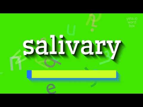 How to say "salivary"! (High Quality Voices)