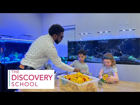 Montessori Primary Program Enrichments