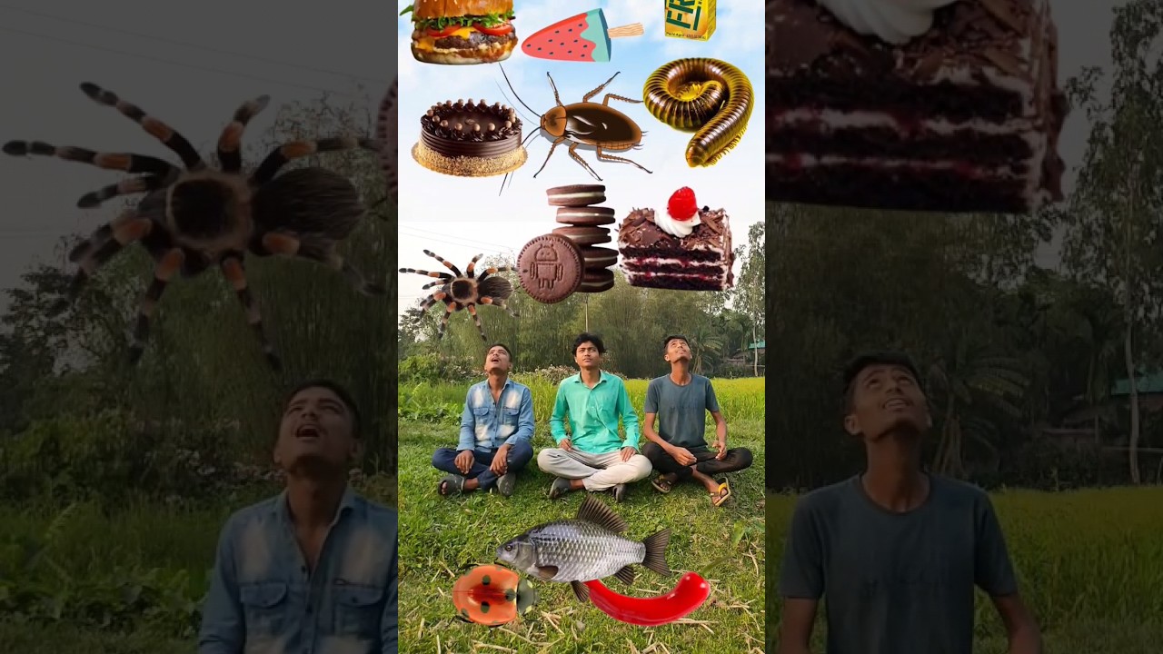 Magic food fruits cake,fish,ice Cream vs insect Three brothers eating challenge game #viral