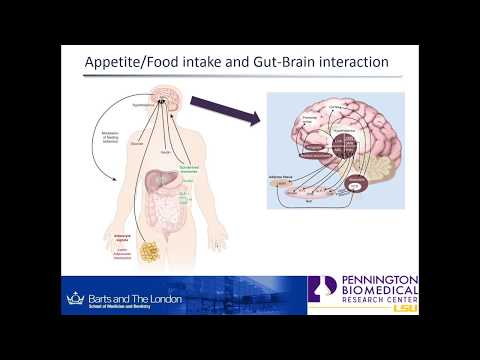 Long-term effects of Roux-en-Y gastric bypass surgery by Madusha Peiris