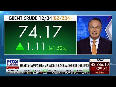 API CEO Mike Sommers on Fox Business' Cavuto: Coast to Coast