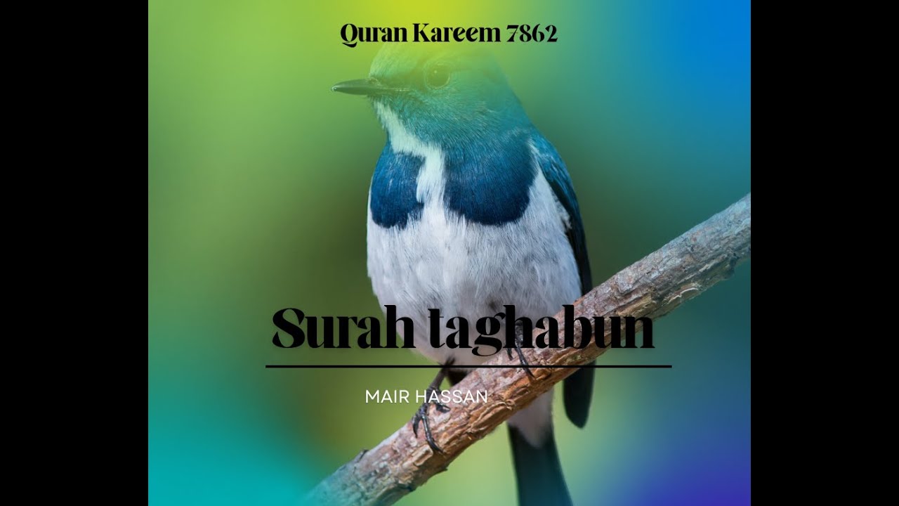Surah Taghabun Full II By mair Hassan With Arabic Text HD best
