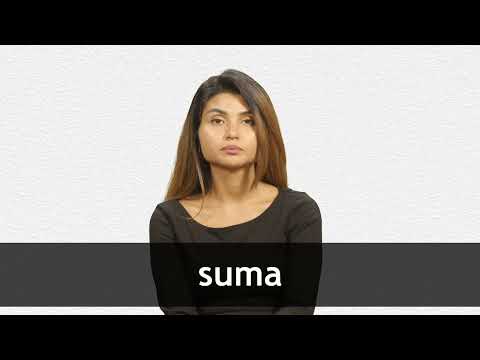 English Translation of “SUMA” | Collins Spanish-English Dictionary