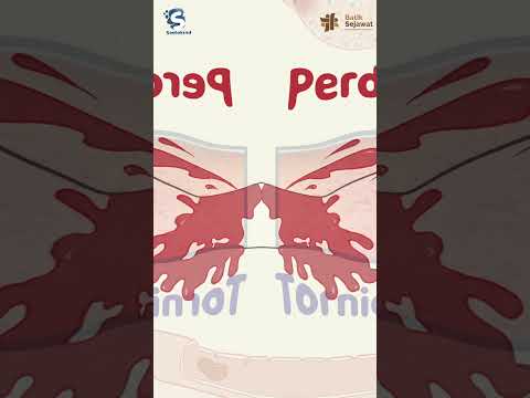 Kenapa sihh disebut demam berdarah ?