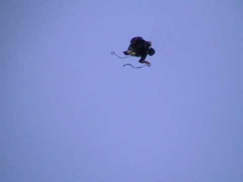 AQUILA REALE IN TERMICA, OLTRE LE NUVOLE, IN 28 SECONDI E'SCESA.