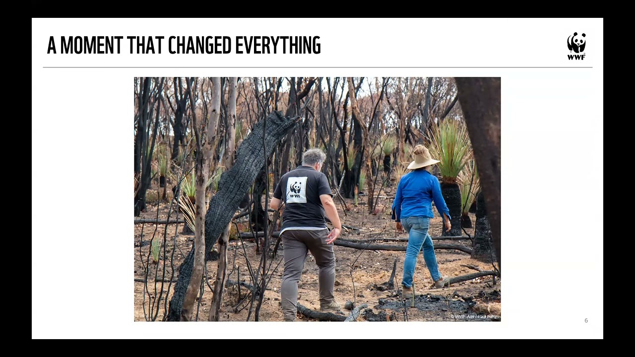Five years on: Regenerating Nature, together with WWF-Australia
