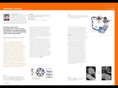 Inés Puente Orench - ILL Annual report 2019