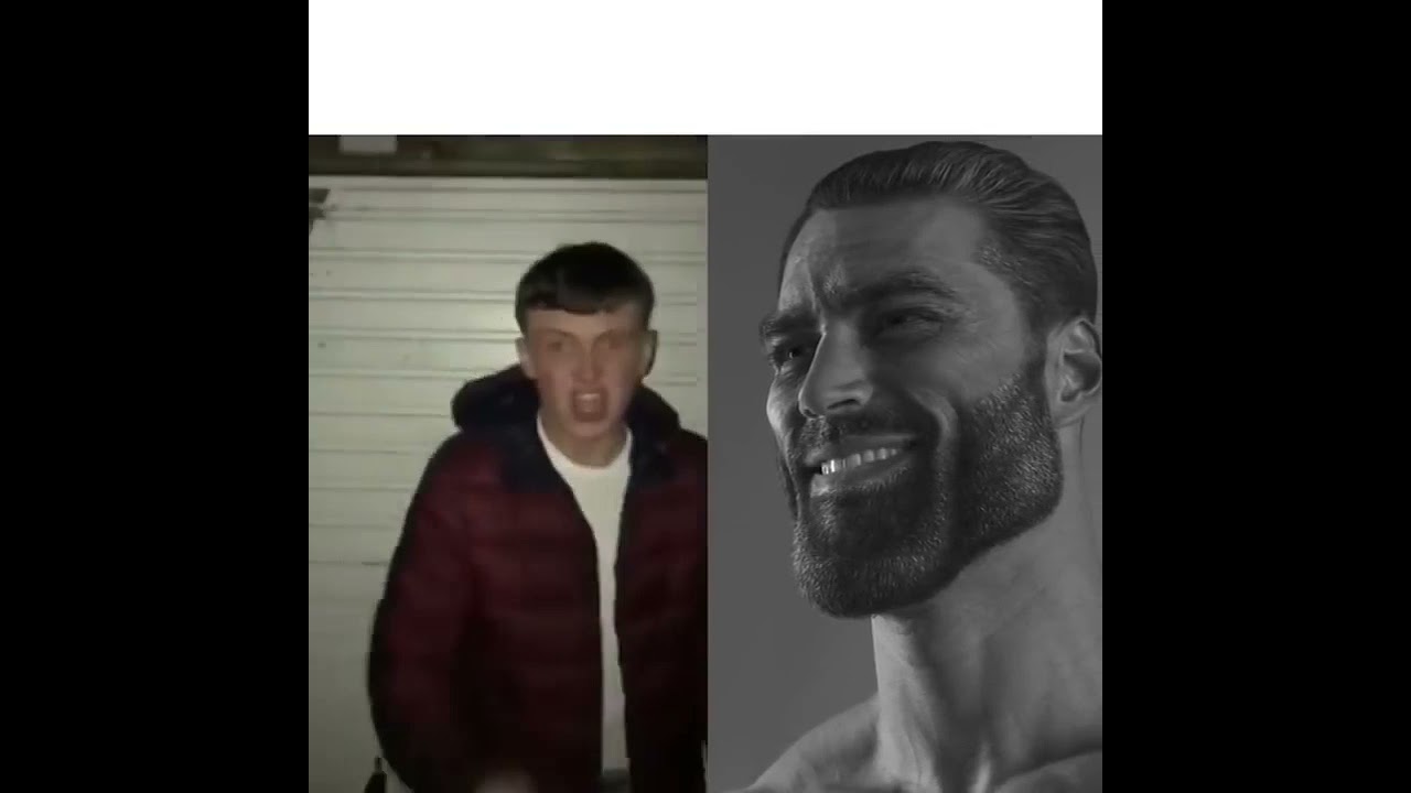 Average Fan vs Average Enjoyer Template