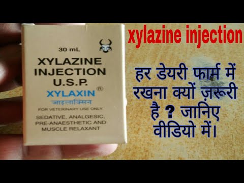 Xylazine at Best Price in India