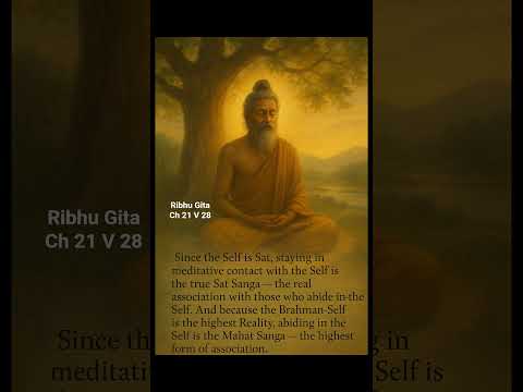 The True Meaning of Sat Sanga – Abiding as the Self #selfrealisation #nonduality #consciousness