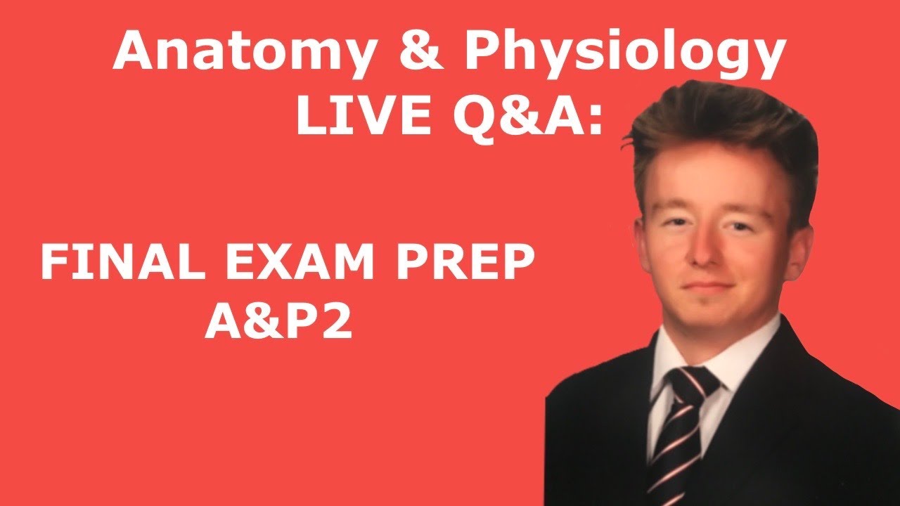 4/29/25 FINAL EXAM Practice Anatomy & Physiology 2