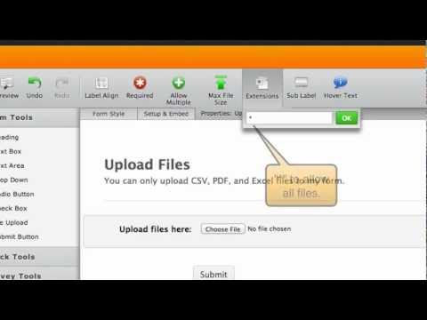 Upload Field - Allowing File Types